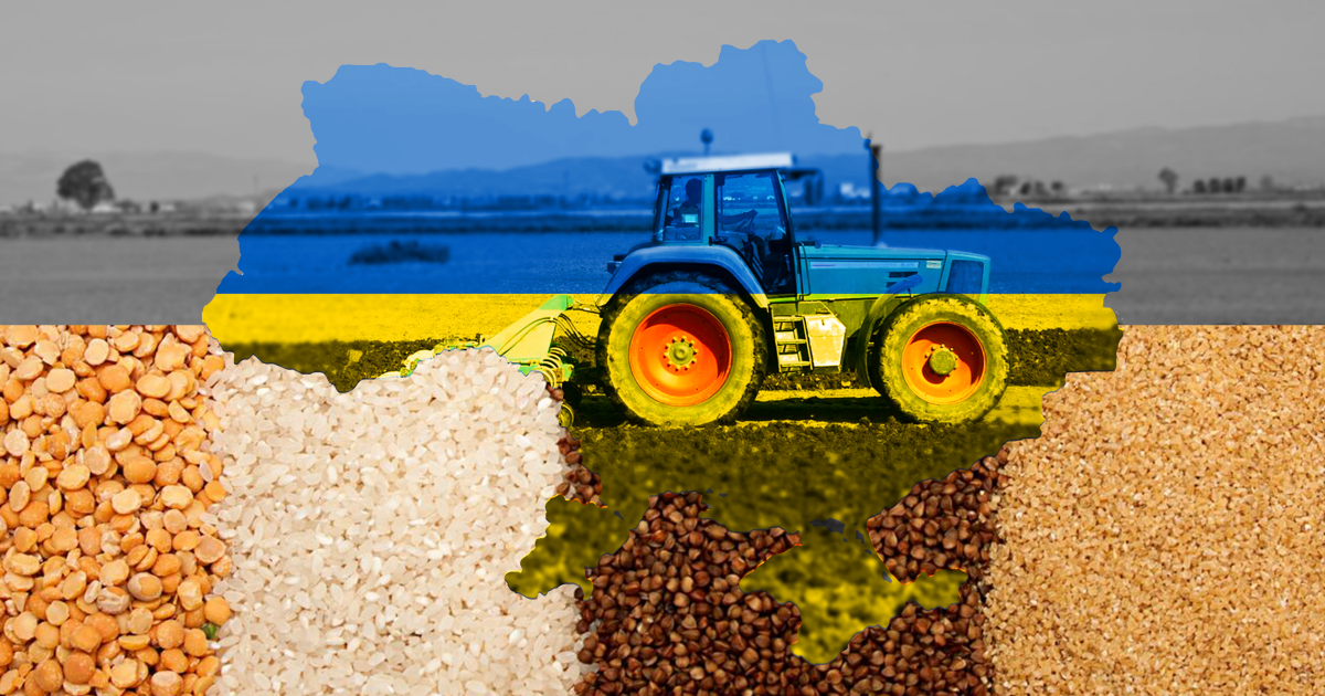 Corn harvesting 87% completed in Ukraine